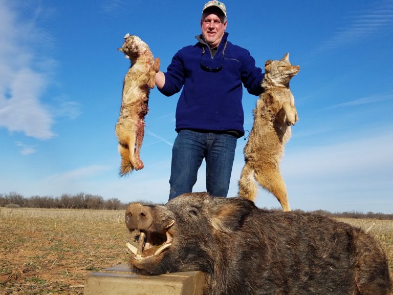 Texas Varmint Hunts - Guided Predator and Small Varmint Hunts: Prone ...