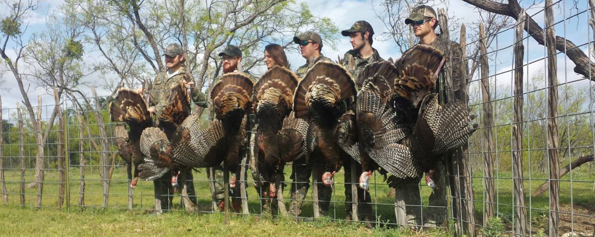 Texas Turkey Hunts: Guided and DIY Turkey Hunting - Prone Outfitters